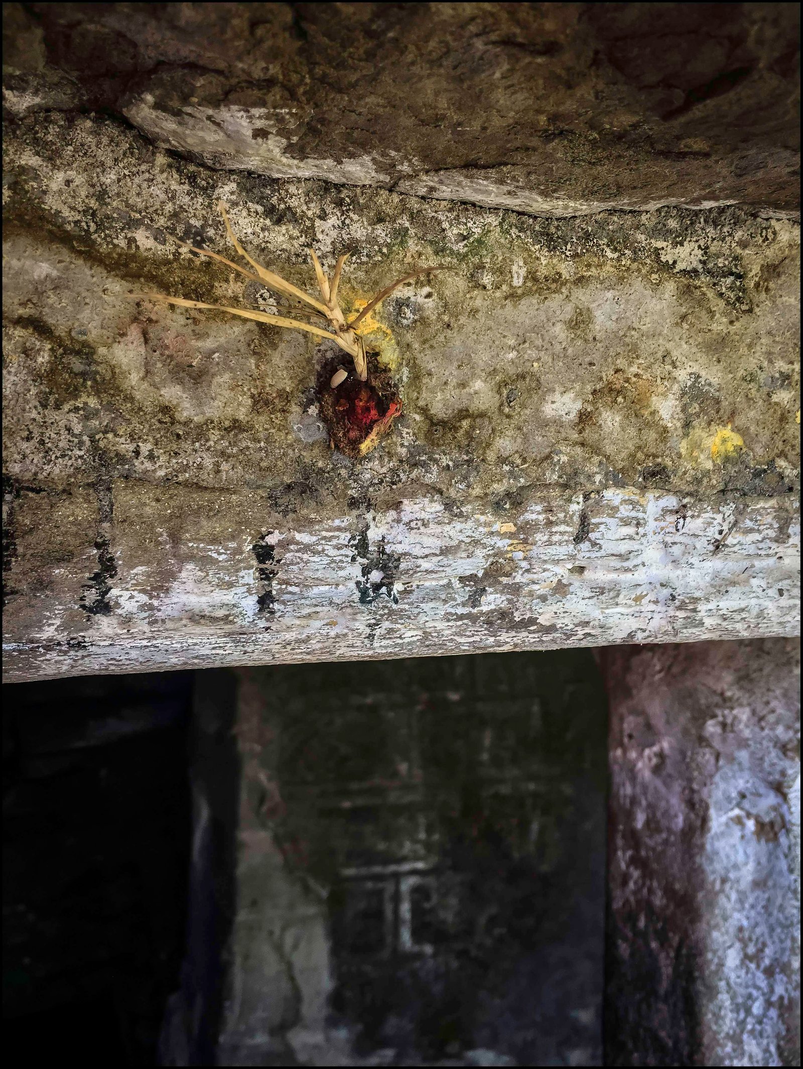 on water of the woods… - travel, travails and heck...